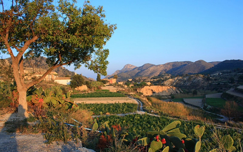 Casa de Alquiler Completo Finca El Pao - Rusticae España
