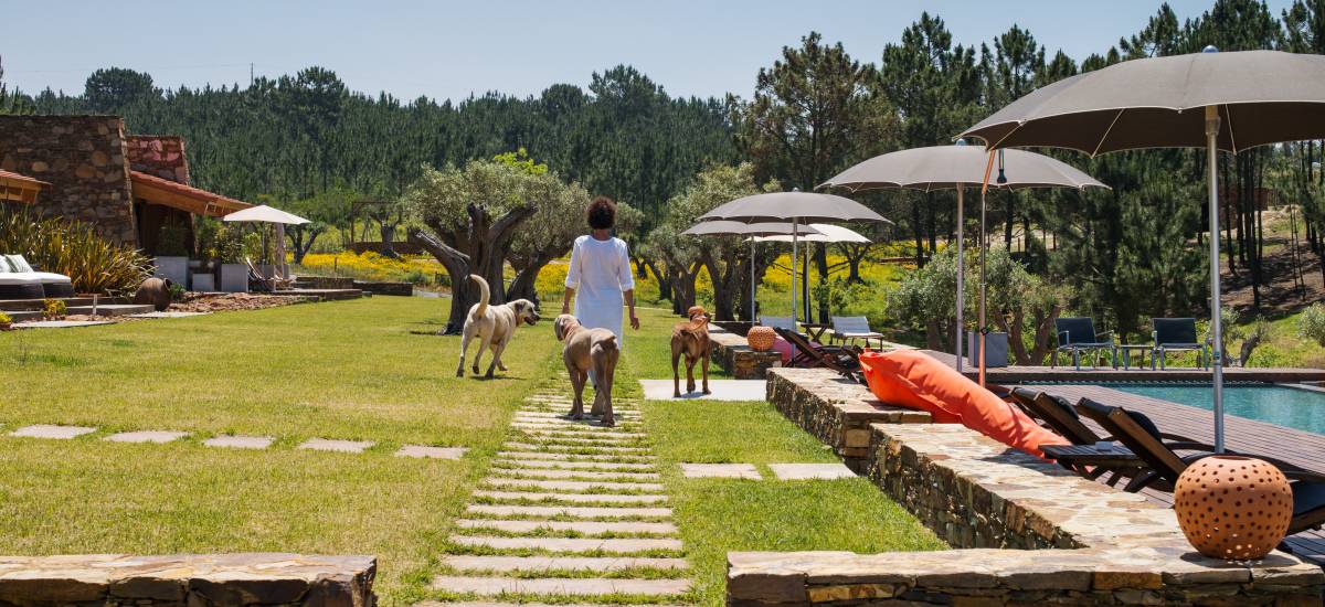 Hotel Teima Alentejo - Teima Tursimo Rural ¡Reserva ahora!