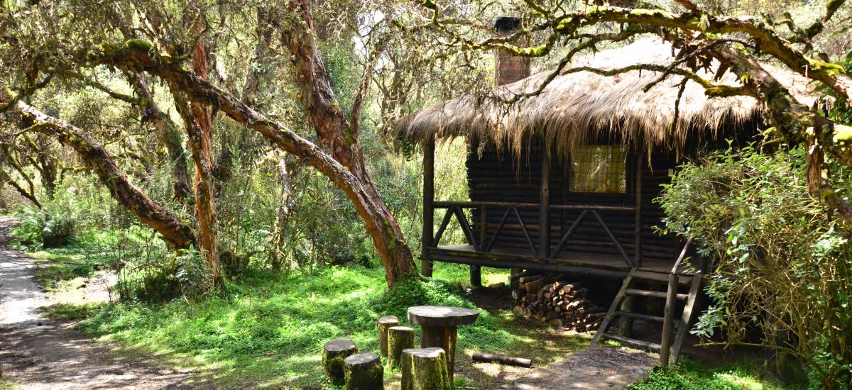 Hotel Polylepis Lodge - Hoteles rurales en Ecuador