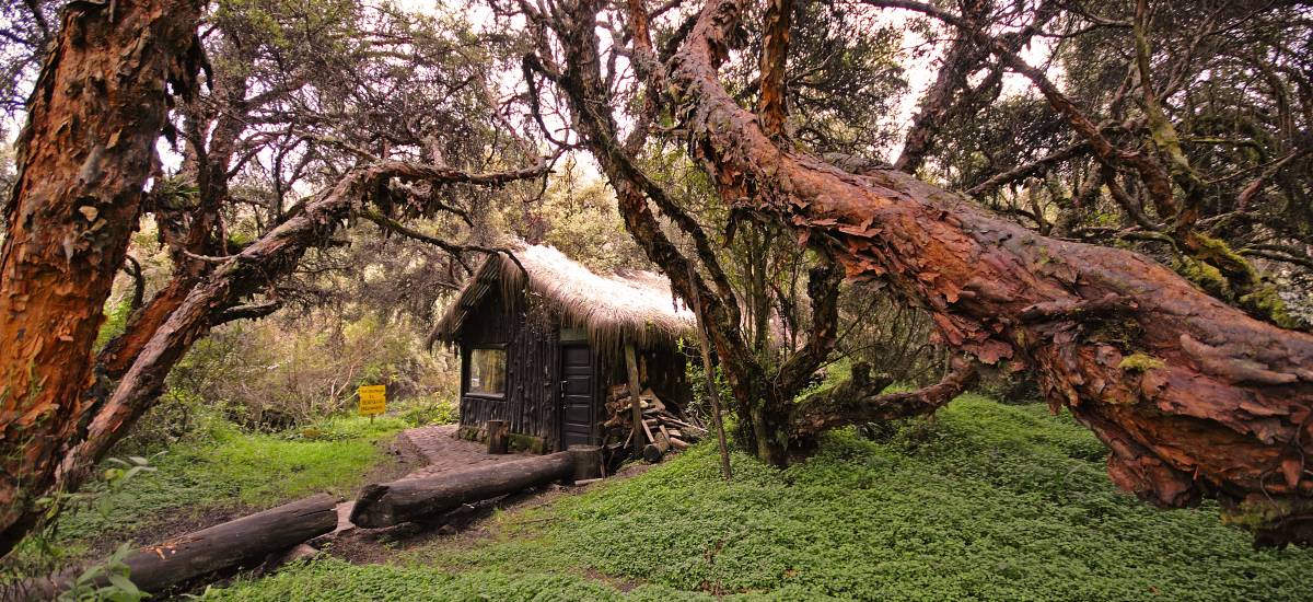 Hotel Polylepis Lodge - Hoteles rurales en Ecuador