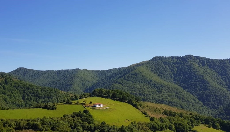 Planazo en BASERRI RURAL EXPERIENCE