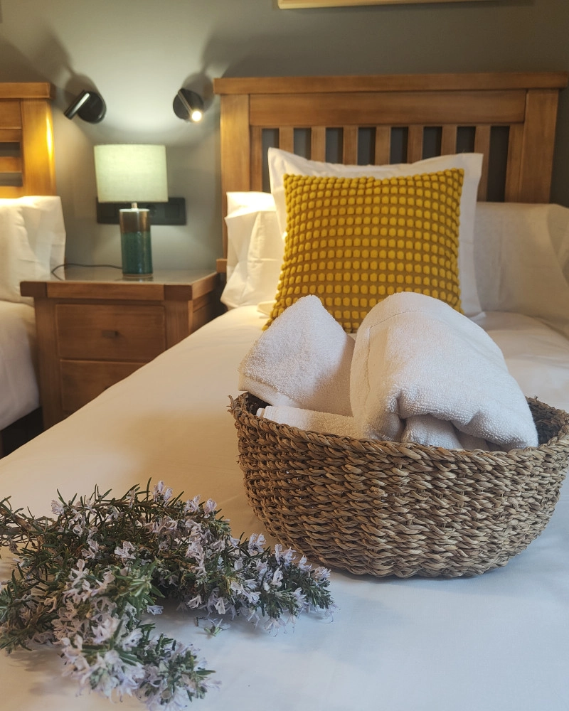 Boutique Hotels & Rural Homes Rusticae